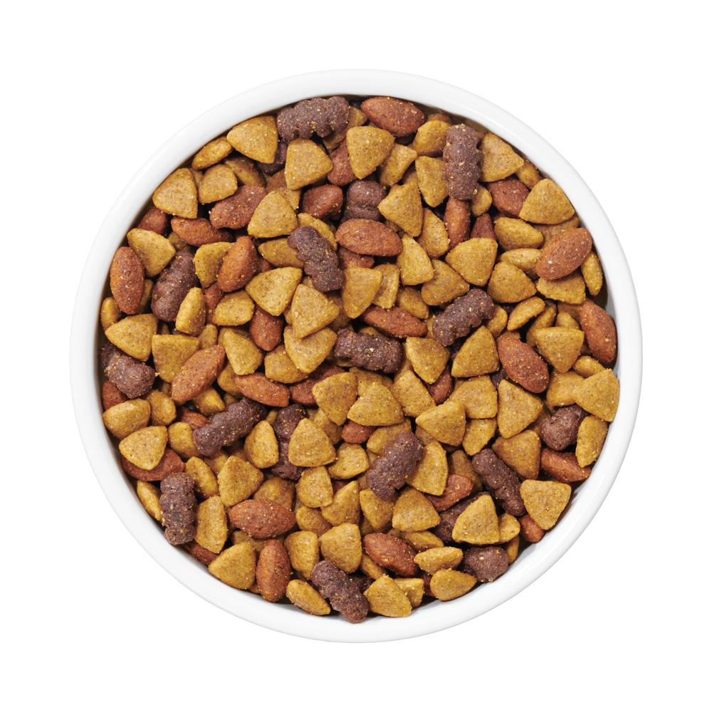 Purina Dog Chow Complete Adult Beef Flavor Dry Dog Food - Fort Worth ...