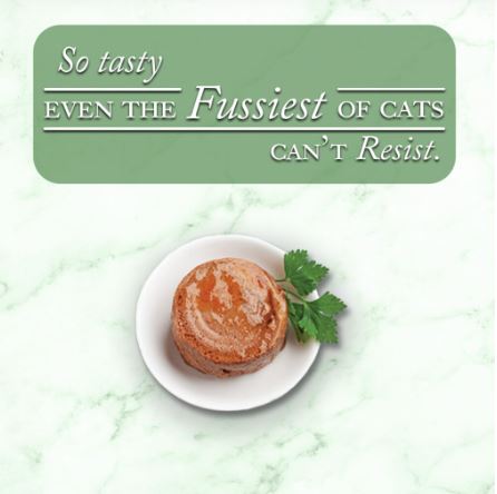 Fussie Cat Fine Dining - Pate - Oceanfish with Salmon Entree in gravy ...