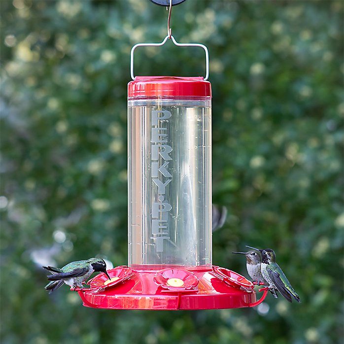 Perky-Pet® Grand 48 Plastic Hummingbird Feeder - 48 oz Nectar Capacity ...